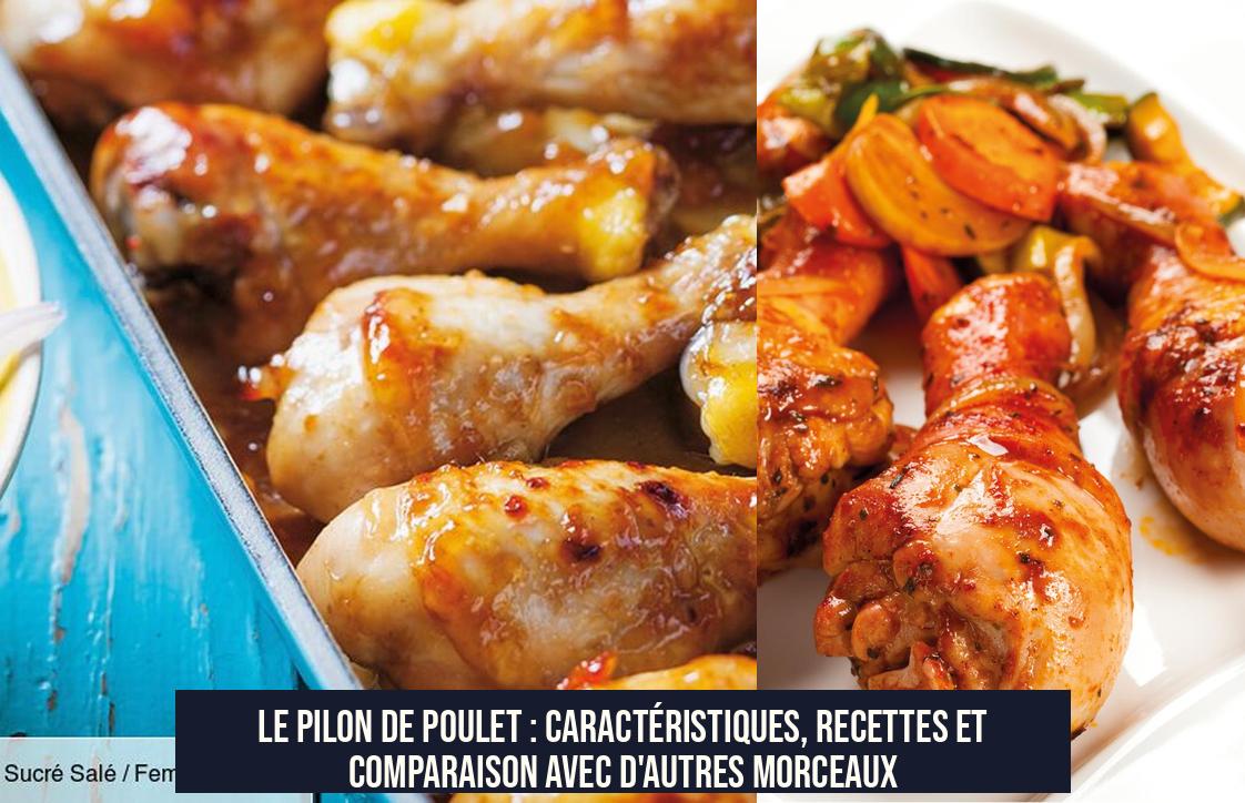 Le pilon de poulet : caractéristiques, recettes et comparaison avec d ...
