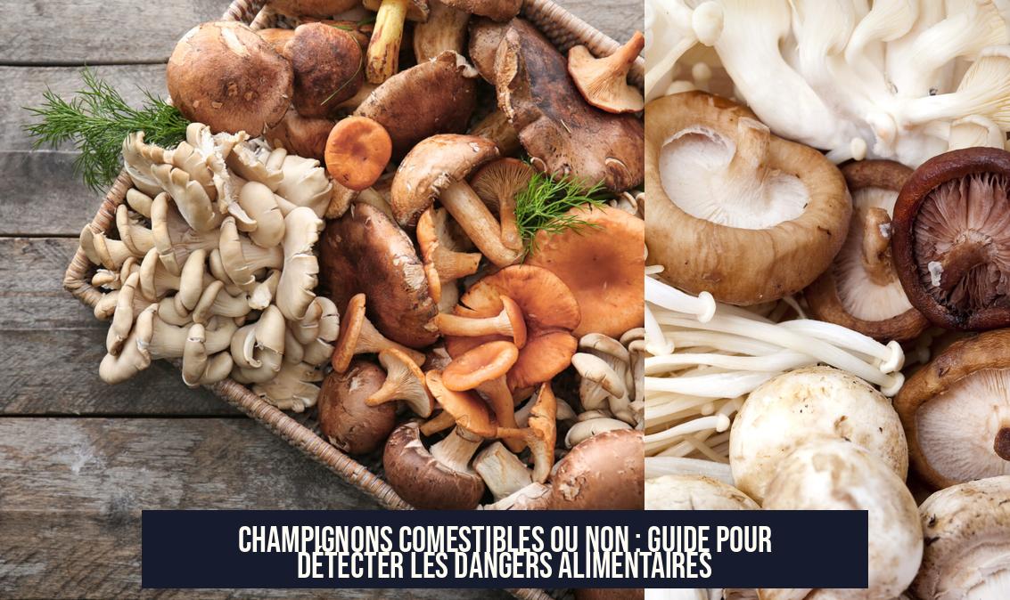 Champignons comestibles ou non : Guide pour détecter les dangers ...