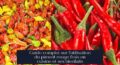 Guide complet sur l'utilisation du piment rouge frais en cuisine et ses ...