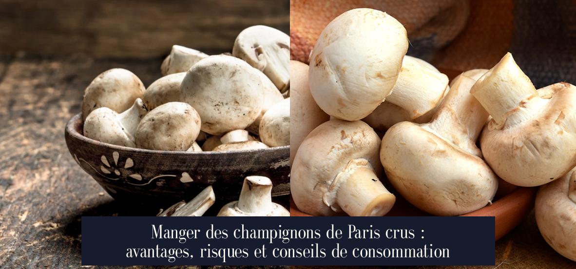 Manger des champignons de Paris crus : avantages, risques et conseils ...