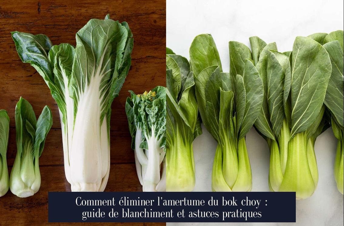 Comment éliminer l'amertume du bok choy : guide de blanchiment et ...