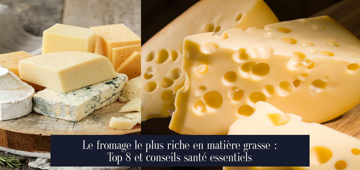 Le fromage le plus riche en matière grasse : Top 8 et conseils santé ...