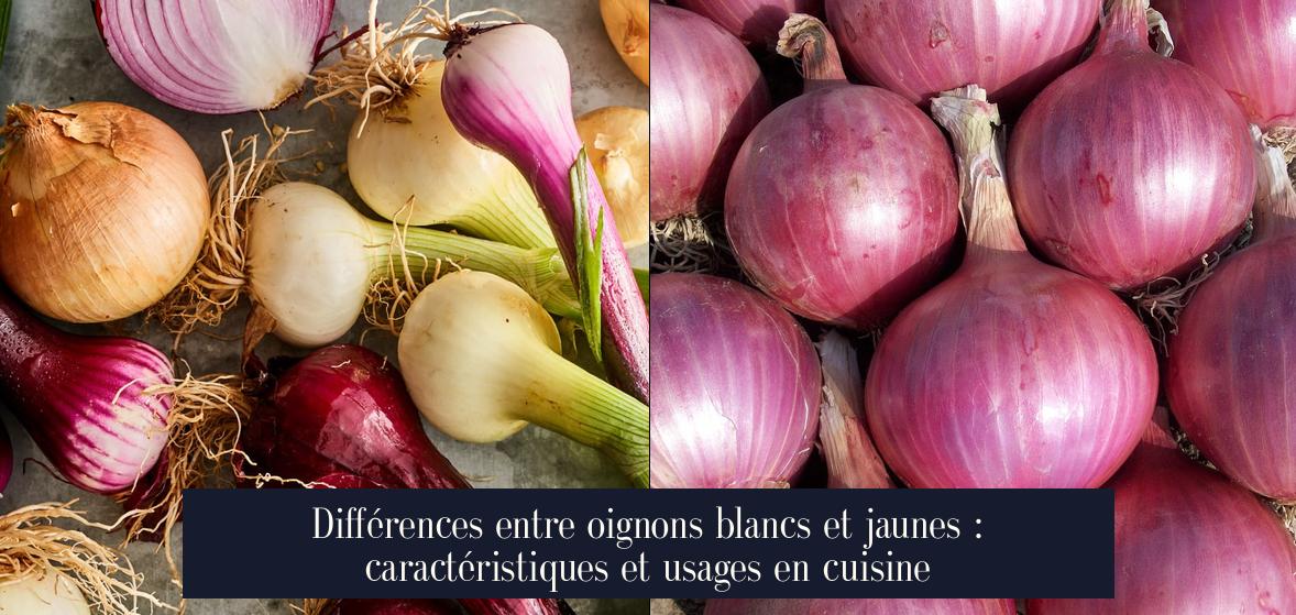 Différences entre oignons blancs et jaunes : caractéristiques et usages ...