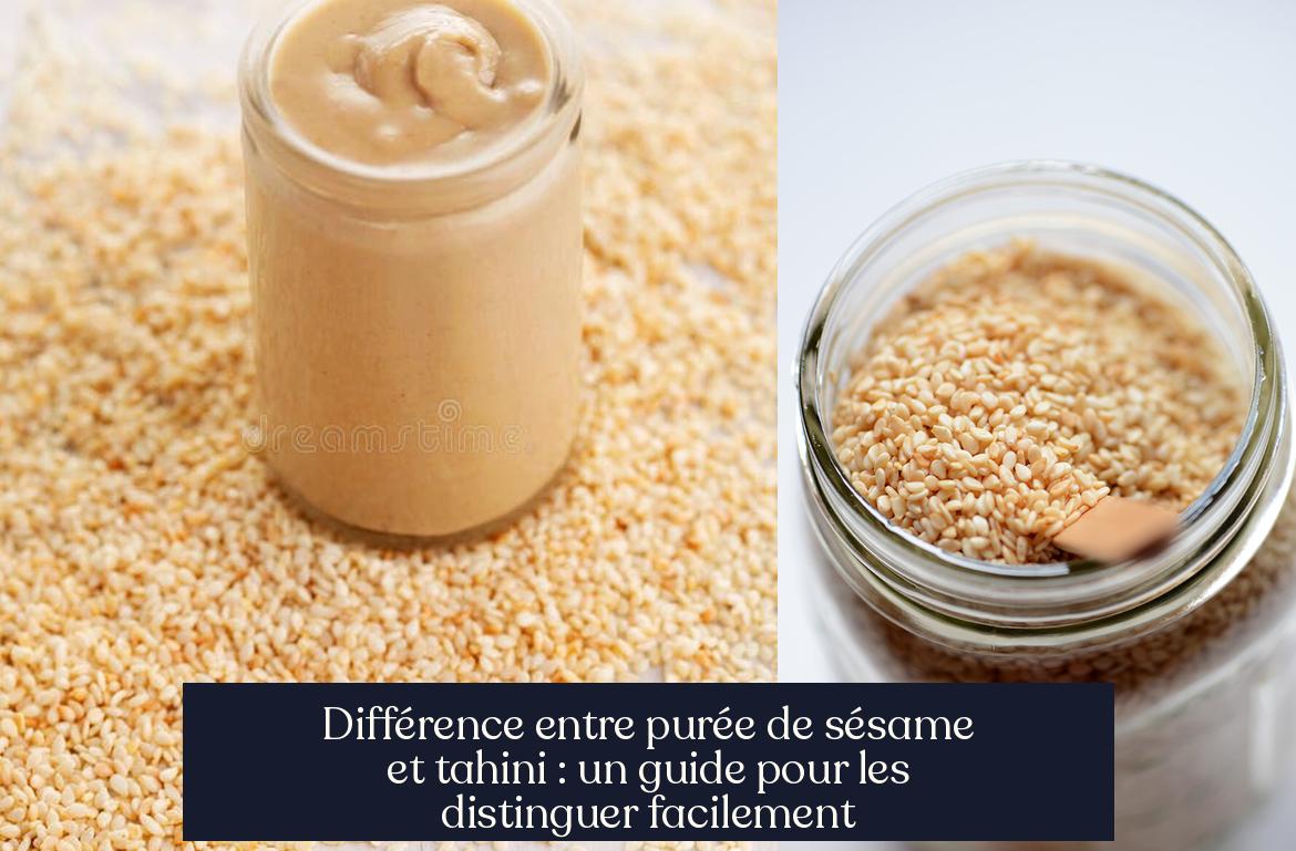 Différence entre purée de sésame et tahini : un guide pour les ...