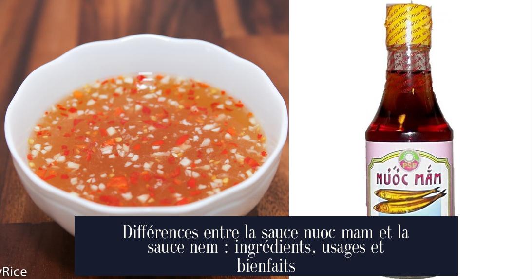 Différences entre la sauce nuoc mam et la sauce nem : ingrédients ...