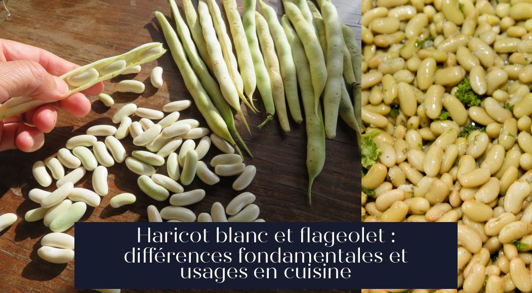 Haricot blanc et flageolet : différences fondamentales et usages en ...