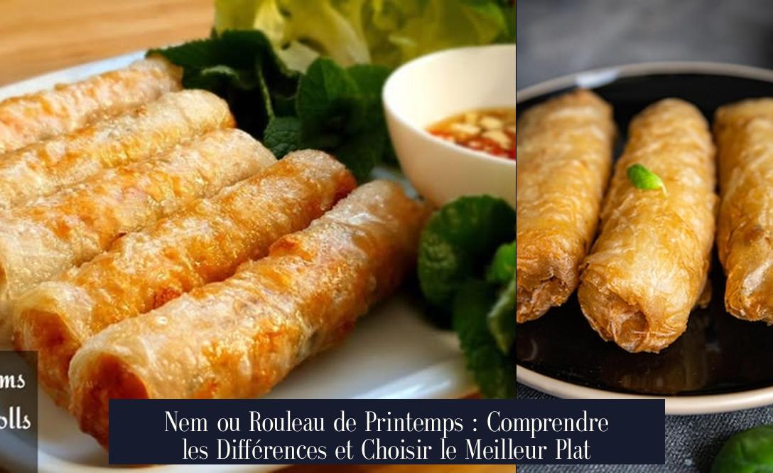 Nem ou Rouleau de Printemps : Comprendre les Différences et Choisir le ...