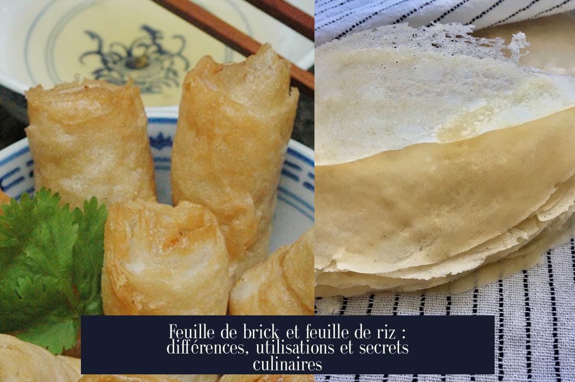 Feuille de brick et feuille de riz : différences, utilisations et ...