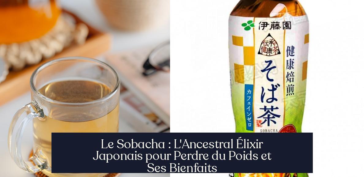 Le Sobacha : L'Ancestral Élixir Japonais pour Perdre du Poids et Ses ...