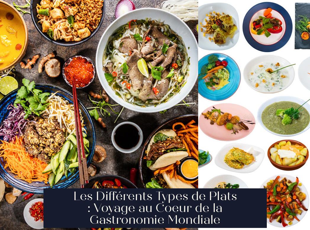 Les Différents Types de Plats : Voyage au Coeur de la Gastronomie ...