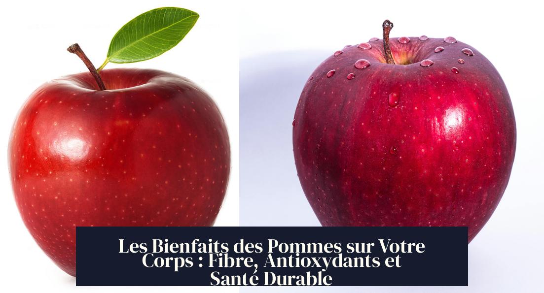 Les Bienfaits des Pommes sur Votre Corps : Fibre, Antioxydants et Santé ...