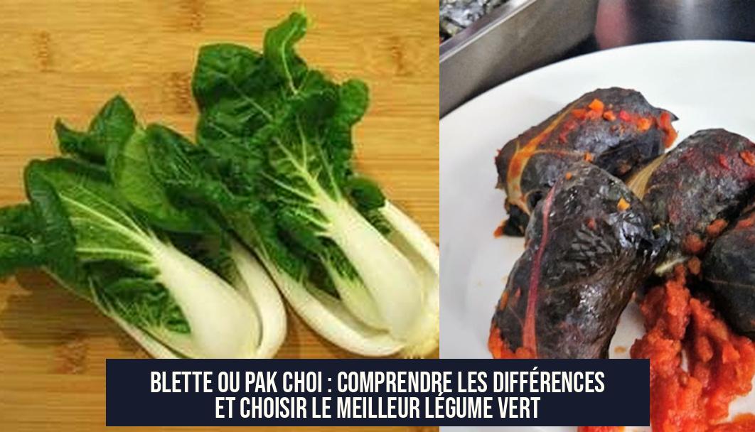 Blette ou Pak Choi : Comprendre les Différences et Choisir le Meilleur ...