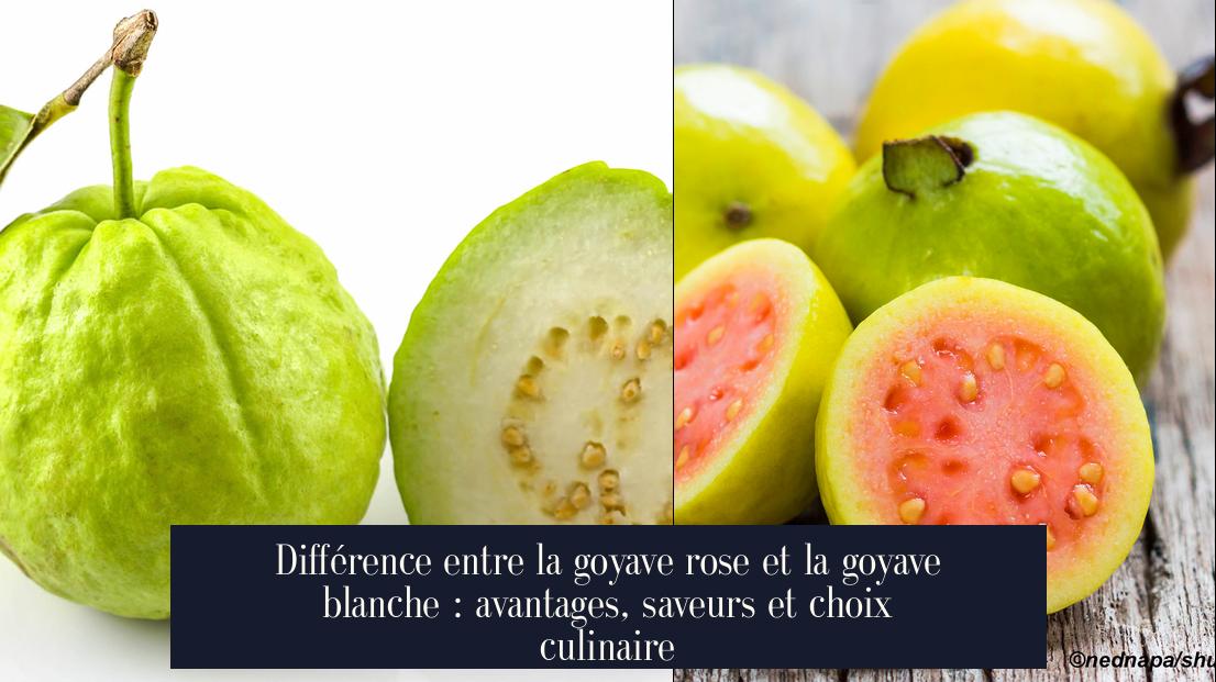 Différence entre la goyave rose et la goyave blanche : avantages ...