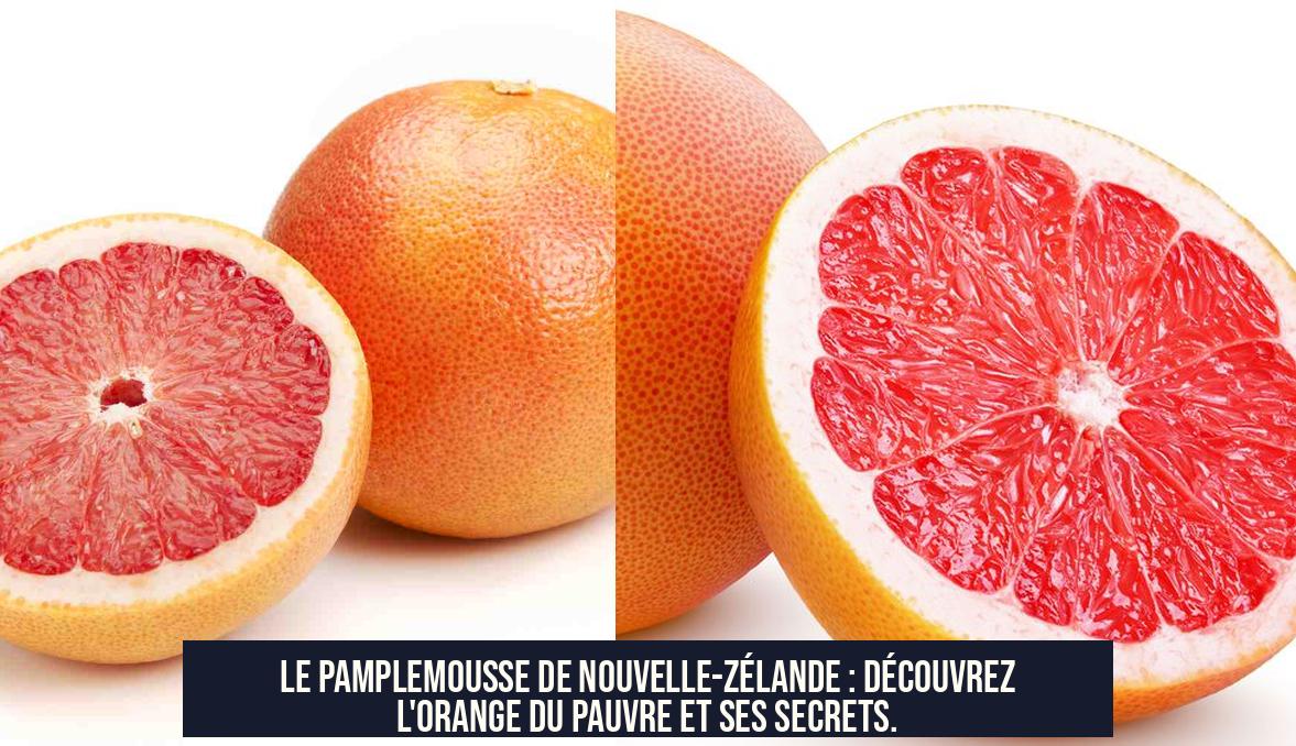 Le pamplemousse de Nouvelle-Zélande : découvrez l'orange du pauvre et ...